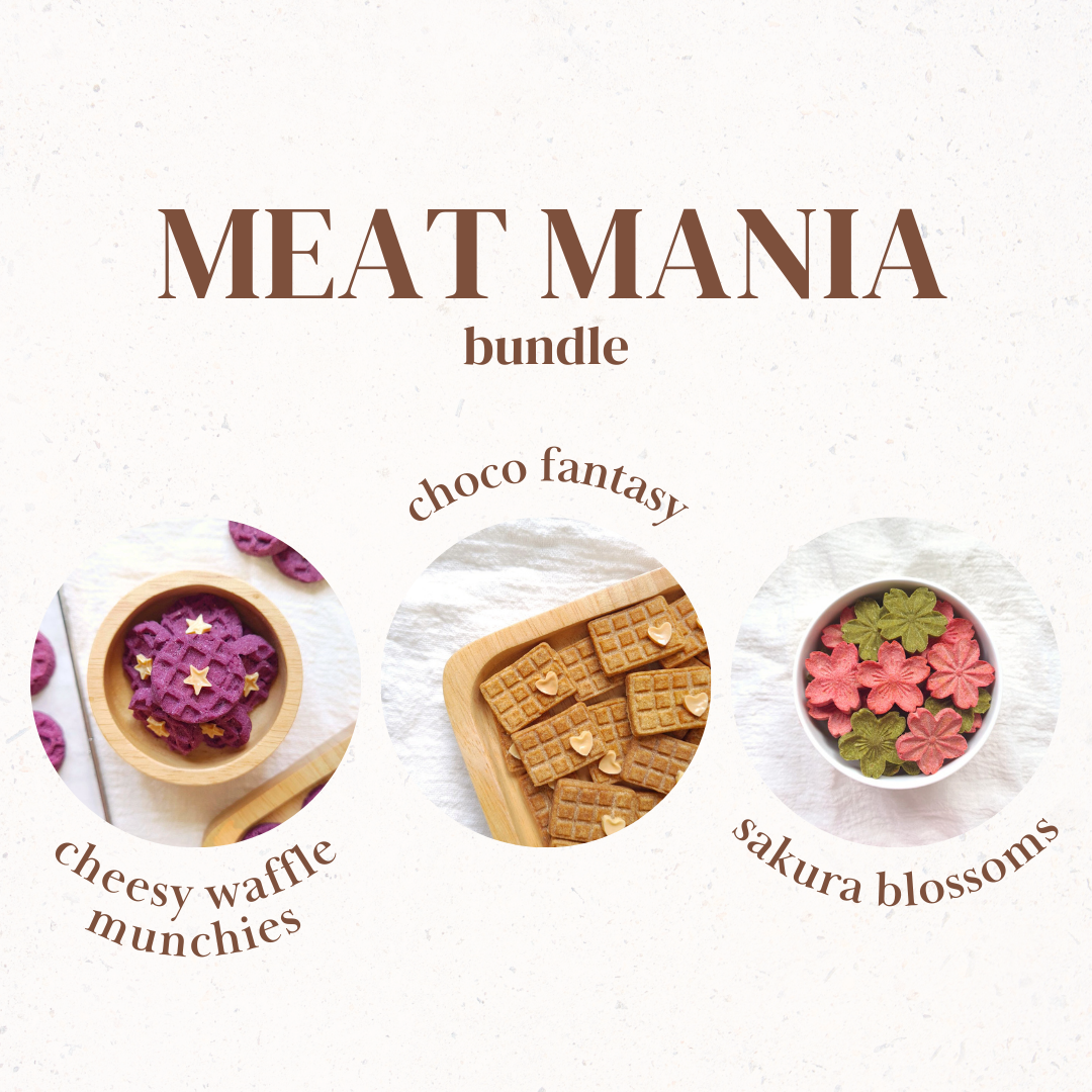 Re-defining treats for little paws – Mini Pawtisserie